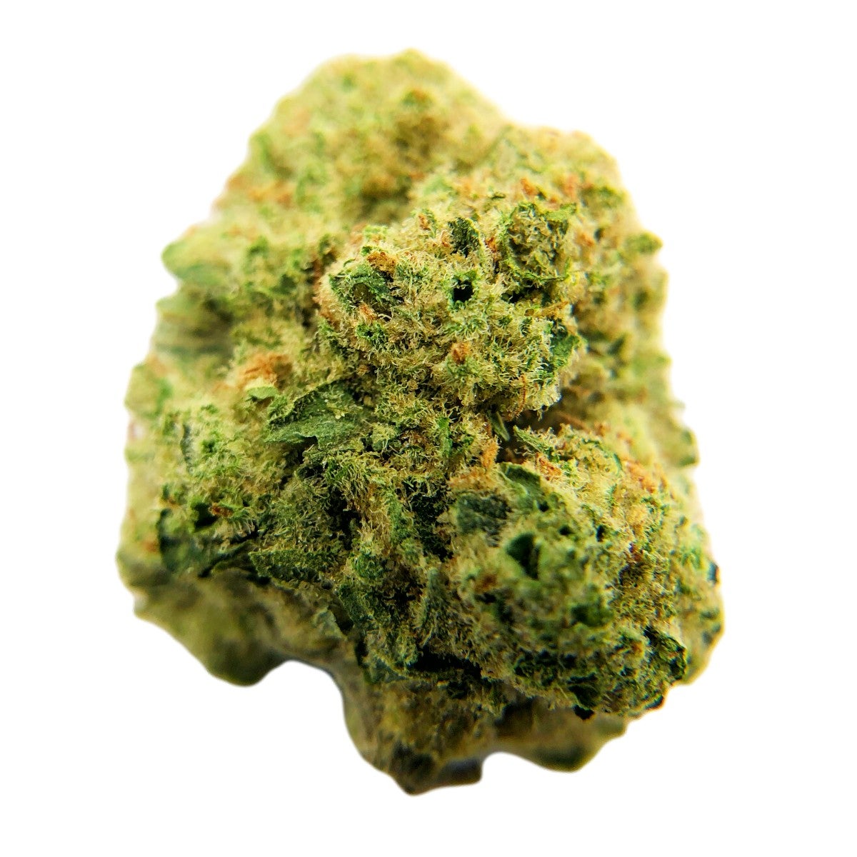 Cookies and Cream | Exotic THCA Flower | Hybrid | Hippy Mood