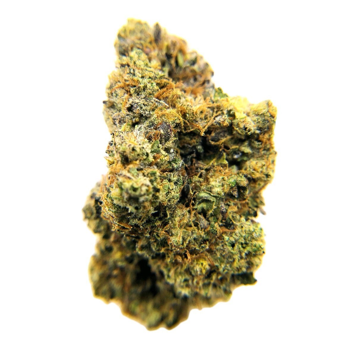 Purple Voodoo | Exotic THCA Flower | Hybrid | Hippy Mood