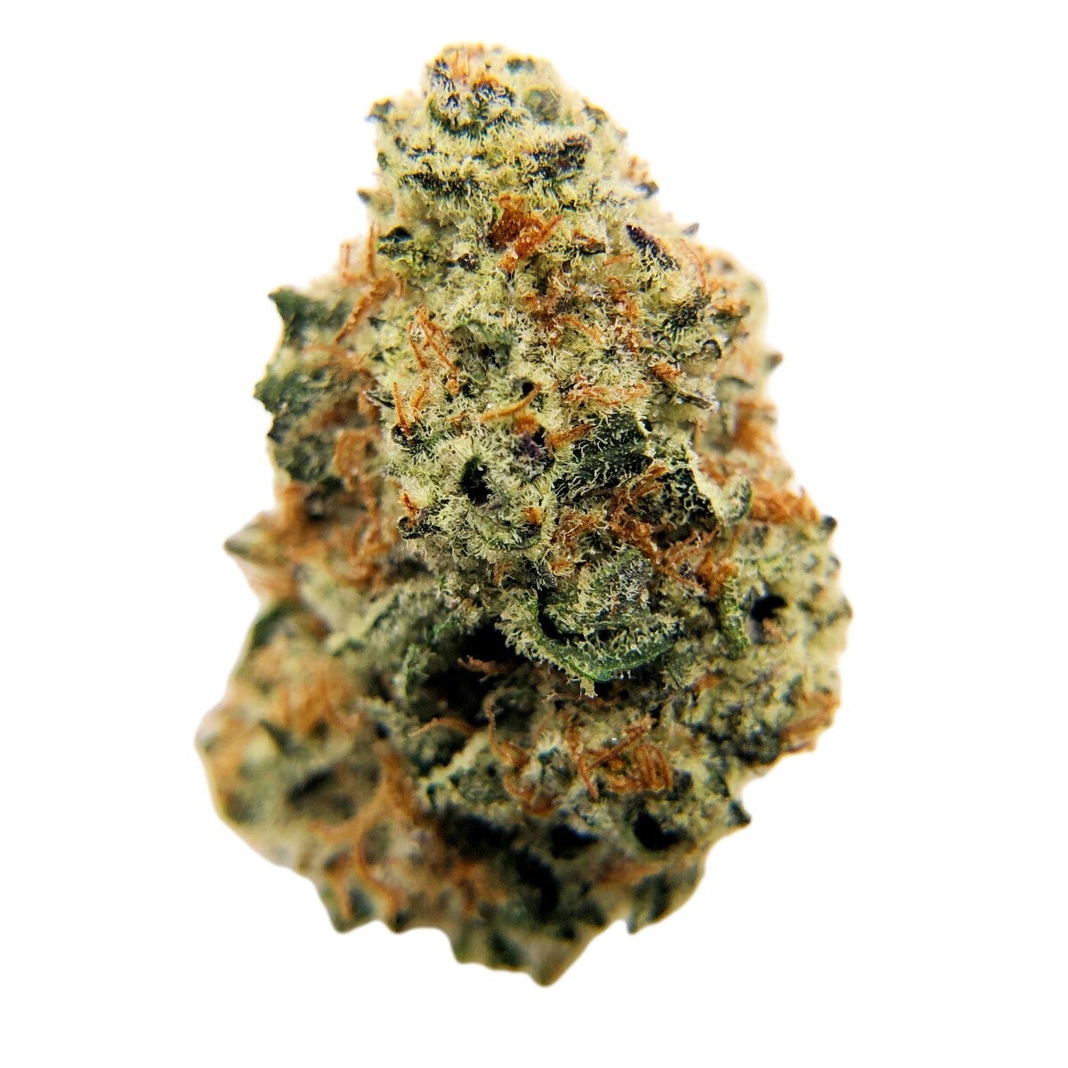 Grape Gas | Exotic THCA Flower | Hybrid | Hippy Mood